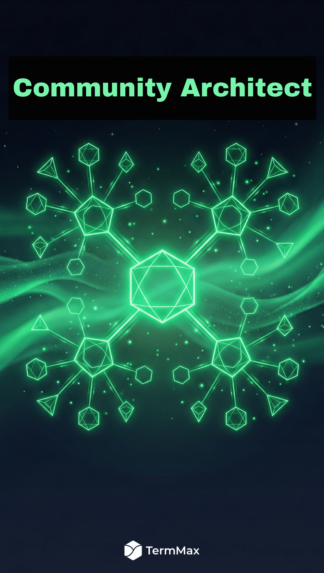 TermMax Leaderboard | Earn XP & Rewards Across Multi-Chain DeFi